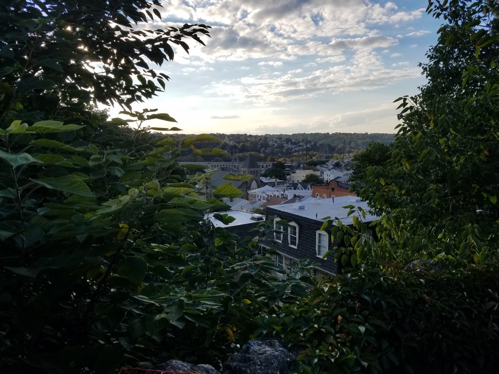 The Trees Grow an Accent - Benny Feldman